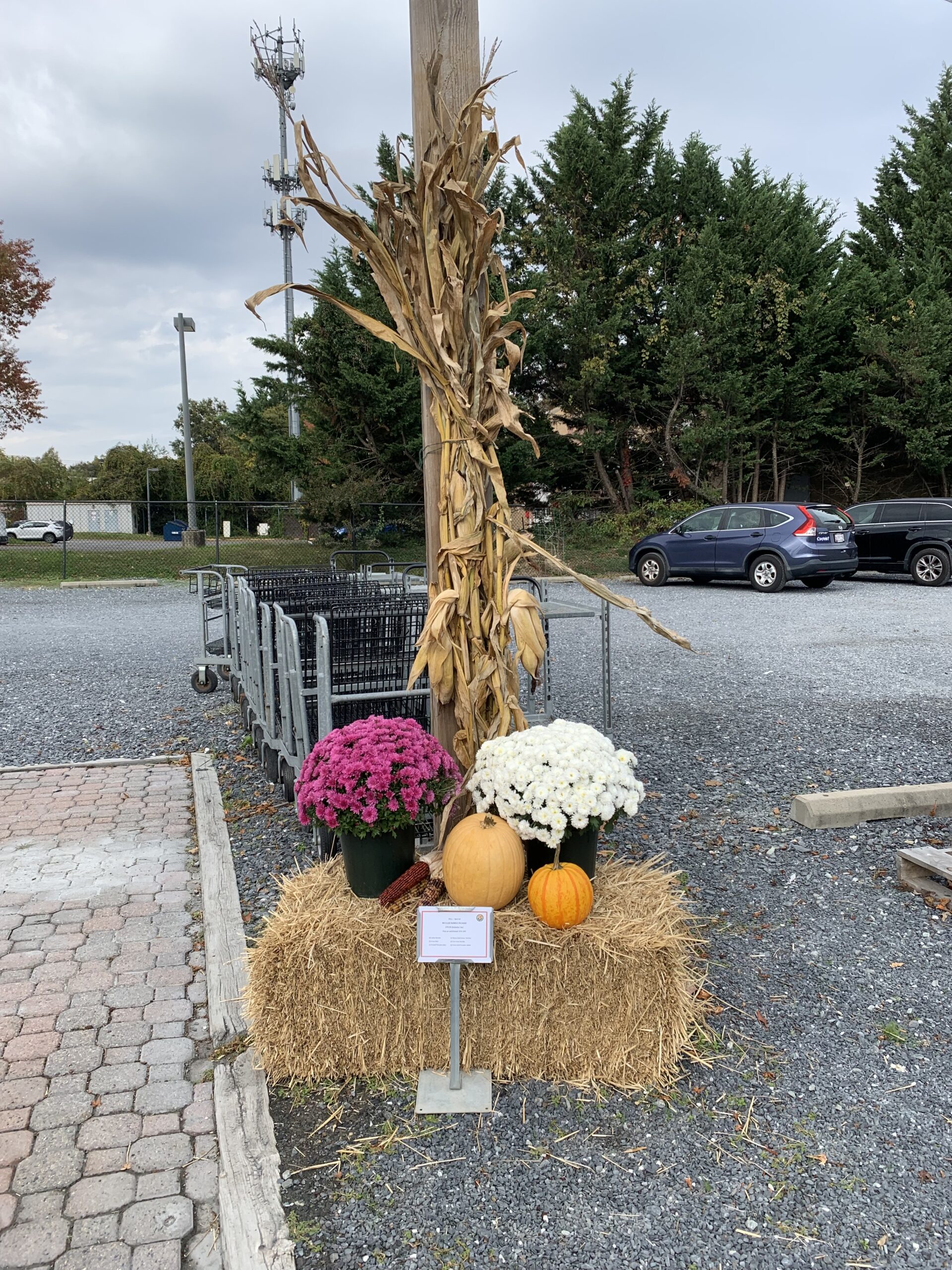 Potomac Garden Center - Home Page - Potomac Garden Center